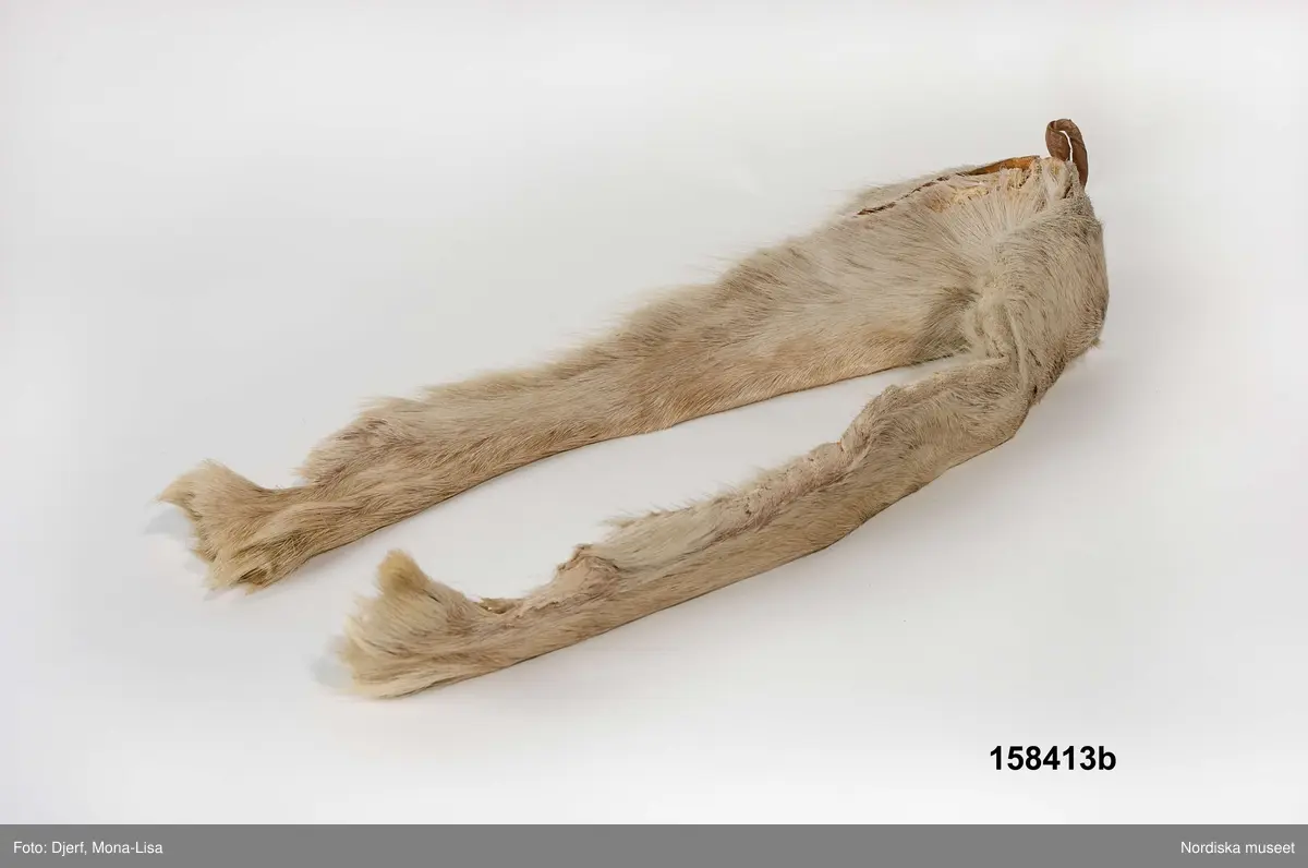 Seldon - Nordiska museet / DigitaltMuseum